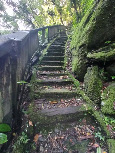 Best Hikes and Trails in Fuyuan National Forest Recreation Area | AllTrails