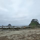 Cape Alava Trail, Washington - 475 Reviews, Map | AllTrails