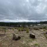 Cedar Trail and University OHV Trail, Oregon - 70 Reviews, Map | AllTrails