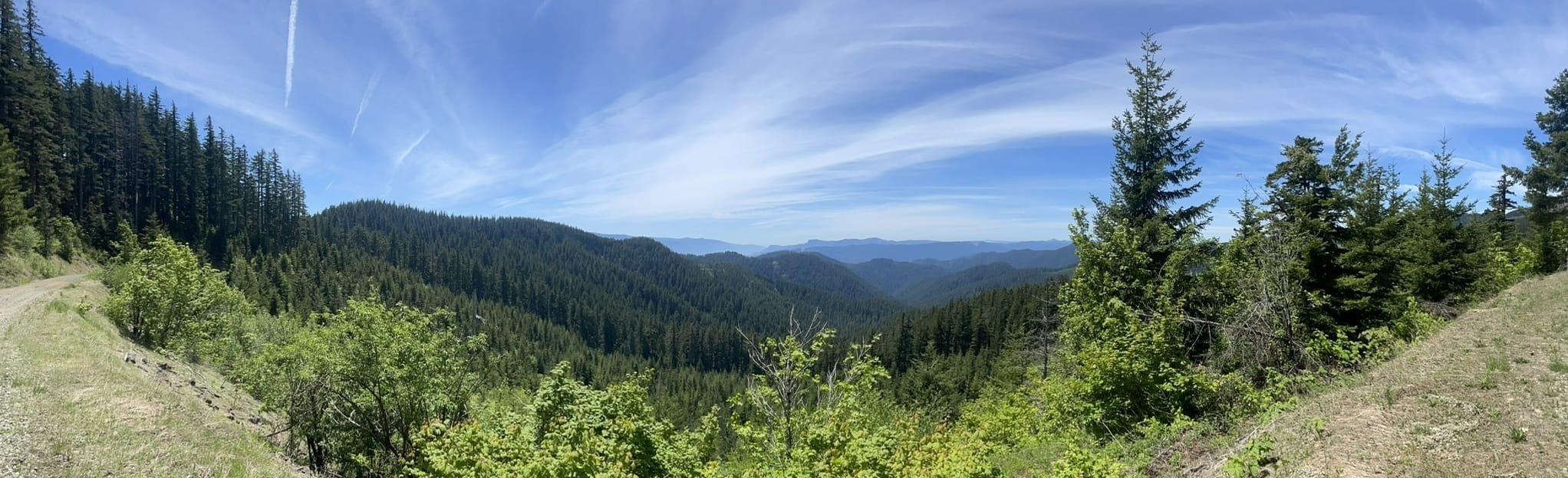 Triangle Pass OHV Road, Washington - 15 Reviews, Map | AllTrails