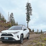 Cedar Trail and University OHV Trail, Oregon - 70 Reviews, Map | AllTrails