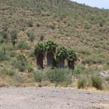 Table Mesa Road Trail, Arizona - 268 Reviews, Map | AllTrails