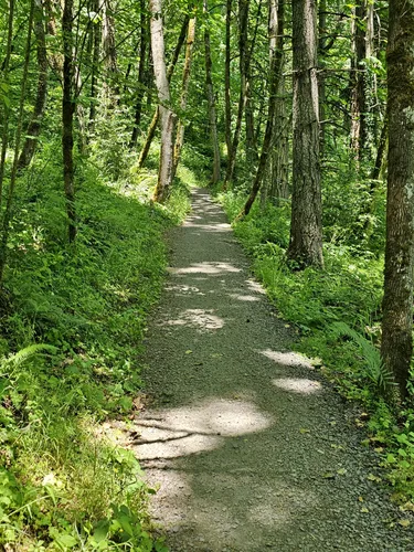 10 Best Trails and Hikes in Eugene | AllTrails
