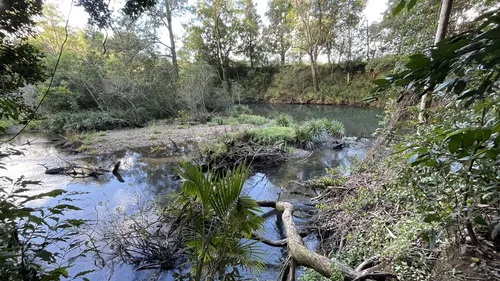 Best Hikes and Trails in Coramba Nature Reserve | AllTrails