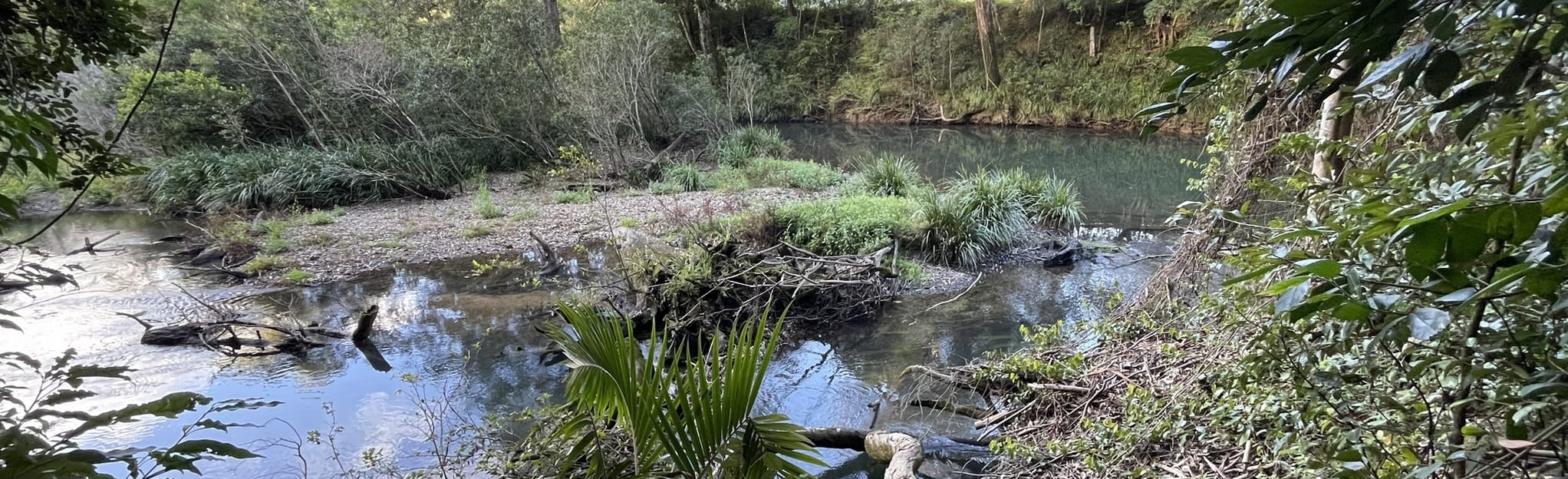 Coramba Nature Reserve Rainforest Walk: 13 foto's - Nieuw-Zuid-Wales ...