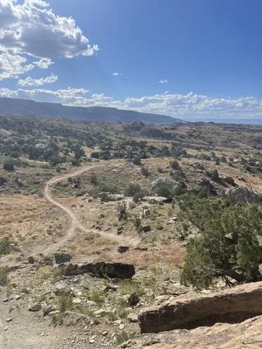 Best Hikes and Trails in James M. Robb – Colorado River State Park ...