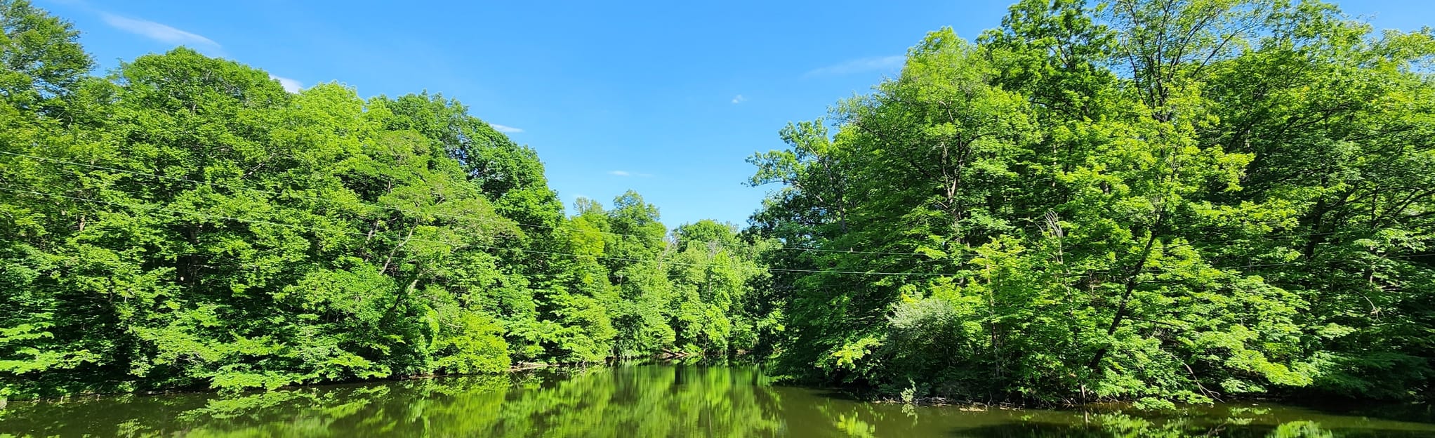 6 Ravine Challenge, Indiana - 761 Reviews, Map | AllTrails