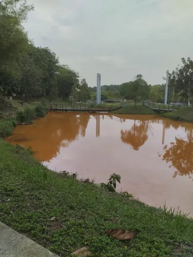 Best Hikes and Trails in Hutan Bandar Majlis Perbandaran Kulai | AllTrails