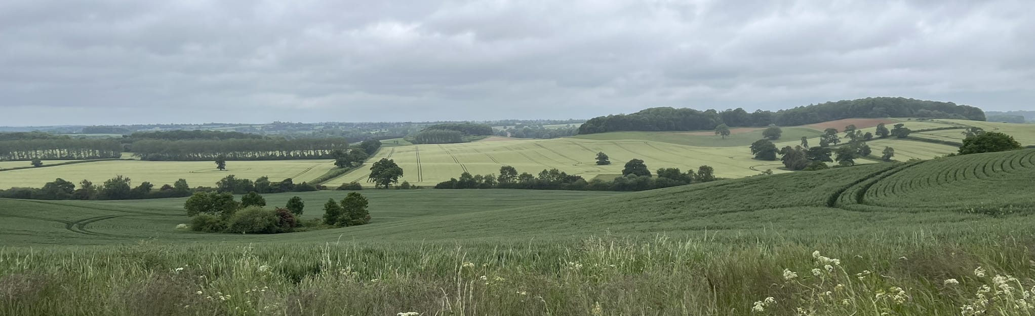 West Haddon Circular, 86 Fotos - Northamptonshire, England | AllTrails