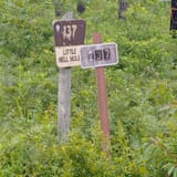 Palmetto Trail Swamp Fox Passage, South Carolina - 188 Reviews, Map ...