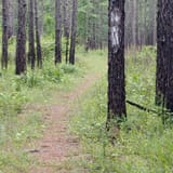 Palmetto Trail Swamp Fox Passage, South Carolina - 188 Reviews, Map ...