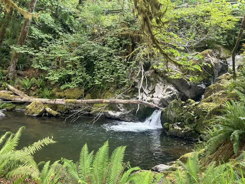 Best Hikes and Trails in Colonel Bob Wilderness | AllTrails