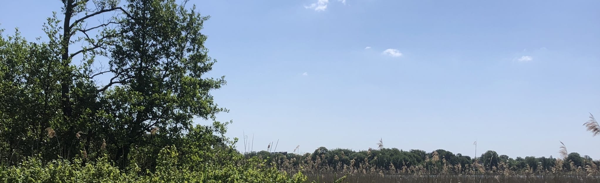 Fortunen - Brede - Lyngby Sø - Bagsværd Sø: 7 Reviews, Map - Capital ...