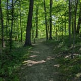 Paul Ruster Trail, Indiana - 235 Reviews, Map | AllTrails