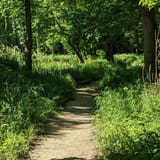 Paul Ruster Trail, Indiana - 235 Reviews, Map | AllTrails