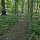 Paul Ruster Trail, Indiana - 235 Reviews, Map | AllTrails