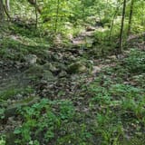 Paul Ruster Trail, Indiana - 235 Reviews, Map | AllTrails