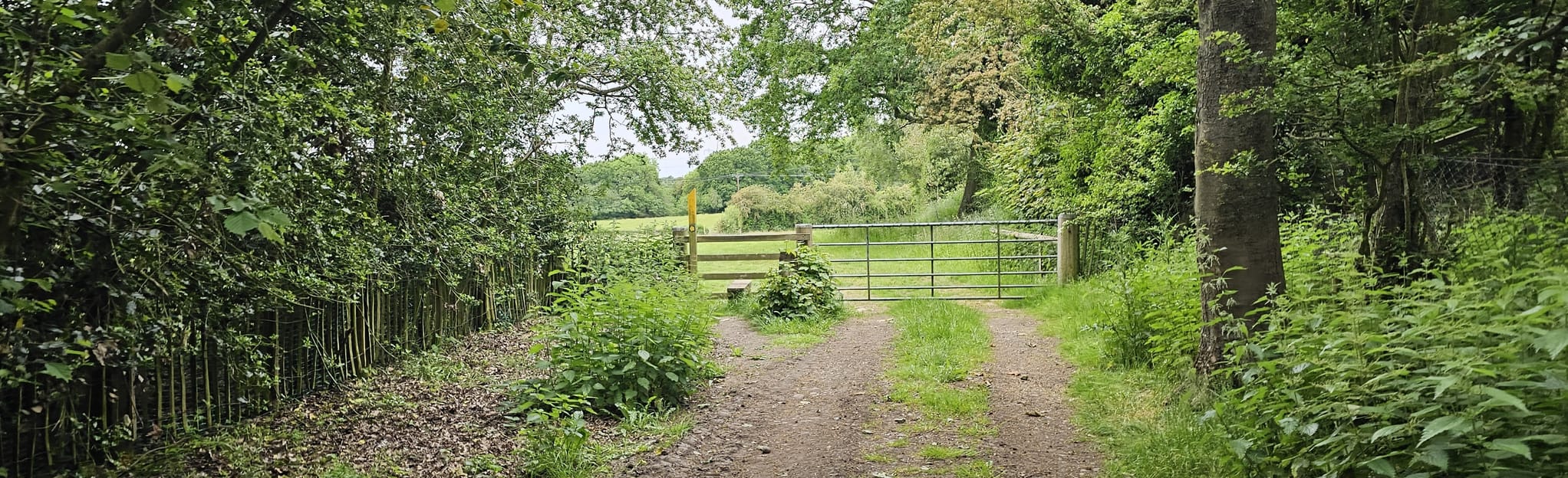Kirkby Mallory Circular: 14 Fotos - Leicestershire, England | AllTrails