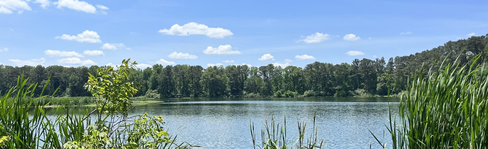 Opelika Wood Duck Heritage Park and Siddique Nature Preserve: 87 ...