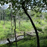 Clinton Lake North Shore Loop, Kansas - 348 Reviews, Map | AllTrails