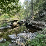 Bushkill Falls Red Trail, Pennsylvania - 574 Reviews, Map | AllTrails
