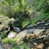 Bushkill Falls Red Trail, Pennsylvania - 574 Reviews, Map | AllTrails