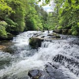 Savage Falls, Tennessee - 660 Reviews, Map | AllTrails