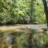 Savage Falls, Tennessee - 660 Reviews, Map | AllTrails