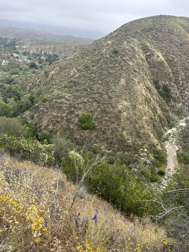 2023 Best Long Trails in Agua Tibia Wilderness | AllTrails