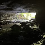 Buggytop Trail to Lost Cove Cave, Tennessee - 707 Reviews, Map | AllTrails
