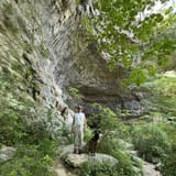 Buggytop Trail to Lost Cove Cave, Tennessee - 707 Reviews, Map | AllTrails
