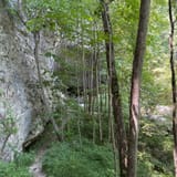 Buggytop Trail to Lost Cove Cave, Tennessee - 707 Reviews, Map | AllTrails