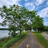 Lake Phalen Bike Path, Minnesota - 716 Reviews, Map | AllTrails