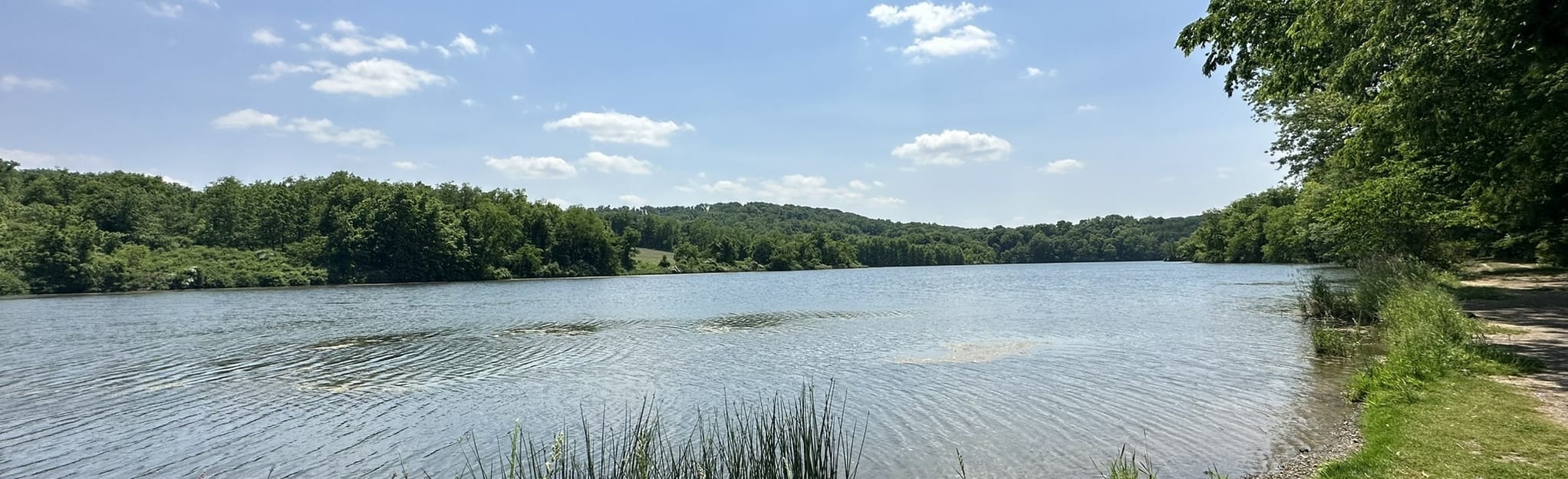 Cross Creek Lakeshore Trail, Pennsylvania - 34 Reviews, Map | AllTrails