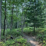 Hidden Pond Park Loop, New York - 330 Reviews, Map | AllTrails