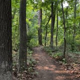Hidden Pond Park Loop, New York - 330 Reviews, Map | AllTrails