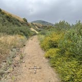 East Walker Loop, California - 512 Reviews, Map | AllTrails