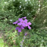 Clio Park Trail, Michigan - 131 Reviews, Map | AllTrails