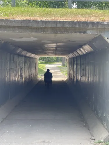 Best Hikes and Trails in Clio Park | AllTrails