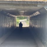 Clio Park Trail, Michigan - 131 Reviews, Map | AllTrails