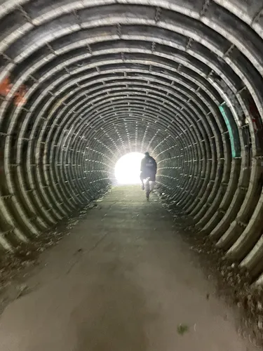 Best Hikes and Trails in Clio Park | AllTrails