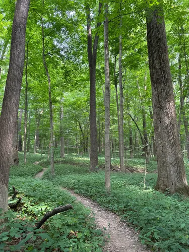 Best Hikes and Trails in Purdue Horticultural Park | AllTrails