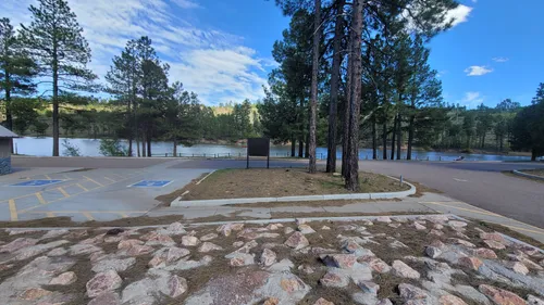 10 Best Trails and Hikes in Heber-Overgaard | AllTrails