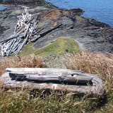 Iceberg Point Trail, Washington - 352 Reviews, Map | AllTrails