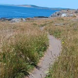 Iceberg Point Trail, Washington - 352 Reviews, Map | AllTrails