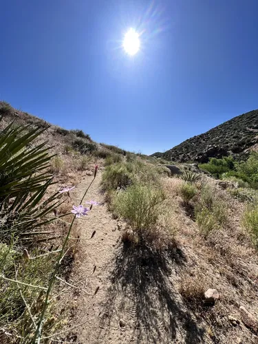 Best Hikes and Trails in Pioneertown Mountains Preserve | AllTrails