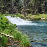 Fall River Loop, Oregon - 406 Reviews, Map | AllTrails