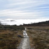 Porcupine Rocks Loop, New South Wales, Australia - 47 Reviews, Map ...