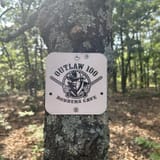 Coon Ridge Trail, Oklahoma - 346 Reviews, Map | AllTrails