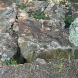 Coon Ridge Trail, Oklahoma - 346 Reviews, Map | AllTrails